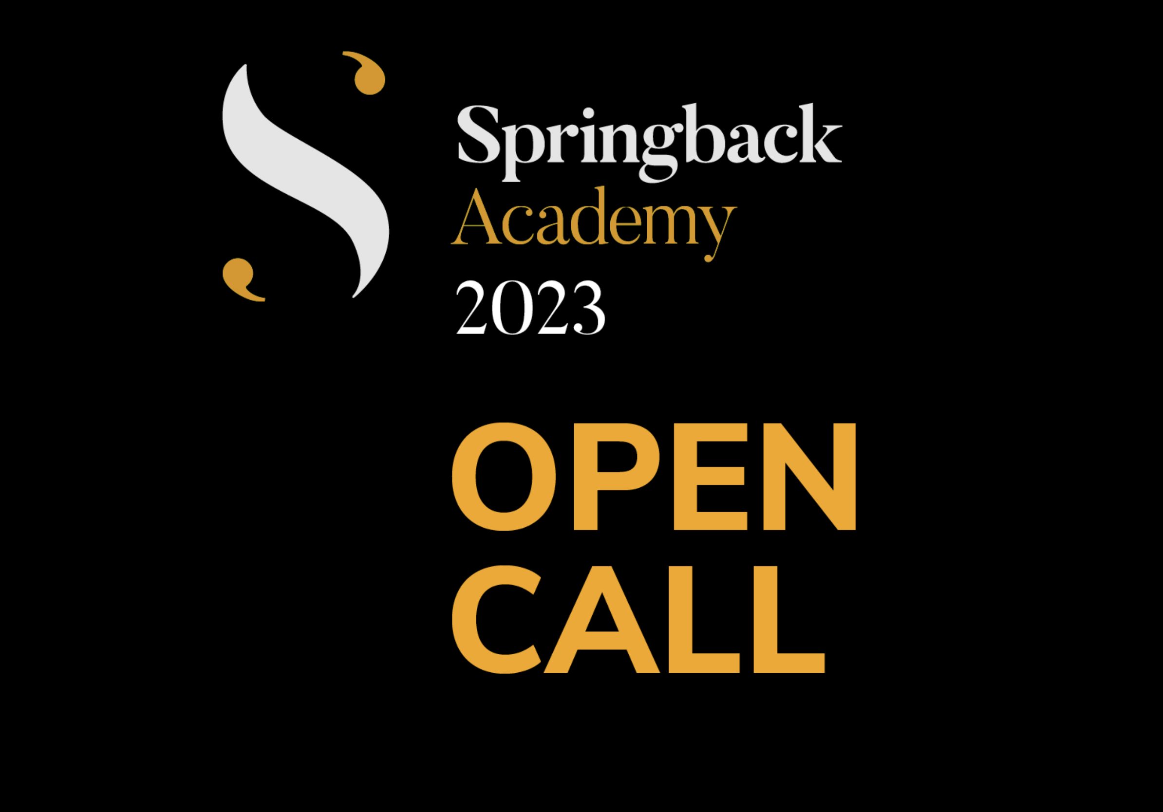 Apply for Springback Academy 2023 - Aerowaves